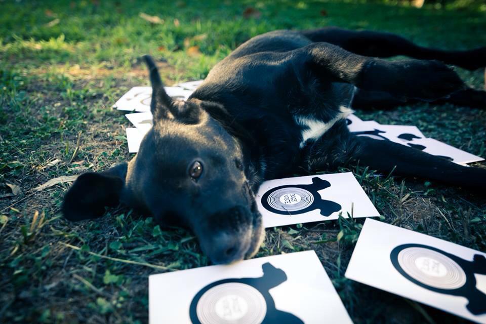 The Dogs' Voice store – dogsvoice